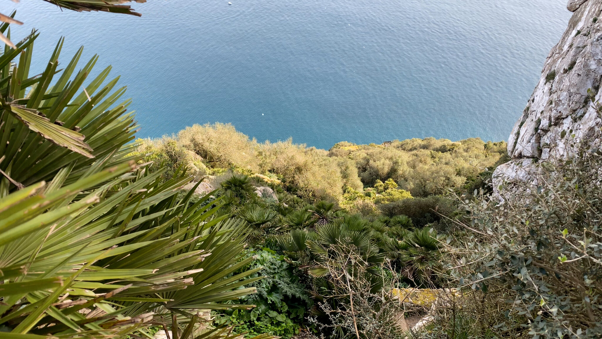 Spectacular Gibraltar: 12 Hours Full of Activities, a Travel Guide ...