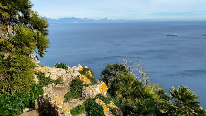 Spectacular Gibraltar: 12 Hours Full of Activities, a Travel Guide ...